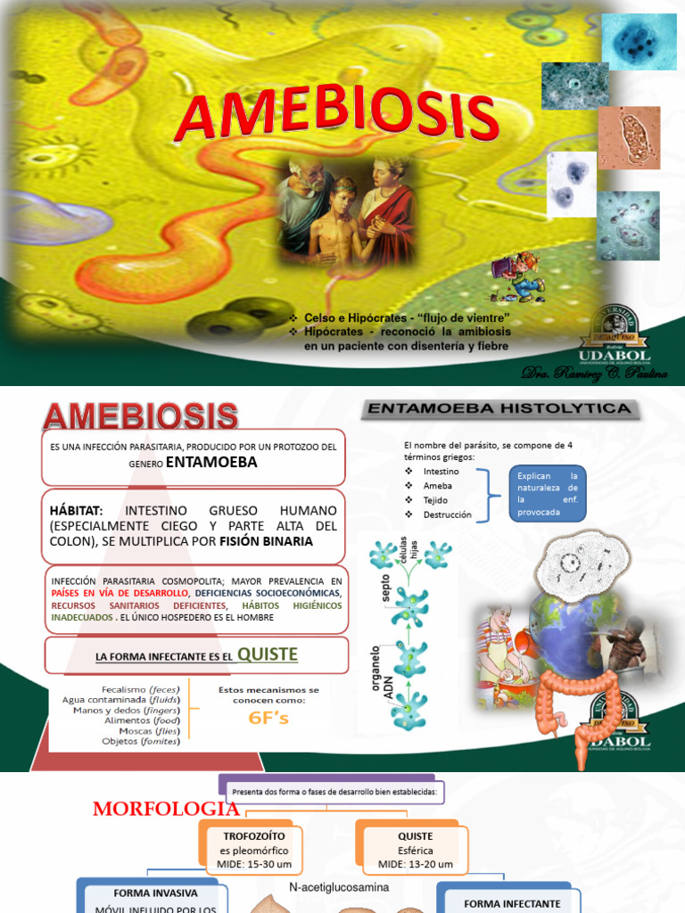Amebiasis | PDF | Especialidades Medicas | Medicina CLINICA
