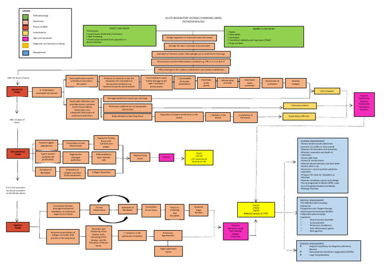 Patho Ards | PDF | Lung | Pulmonology