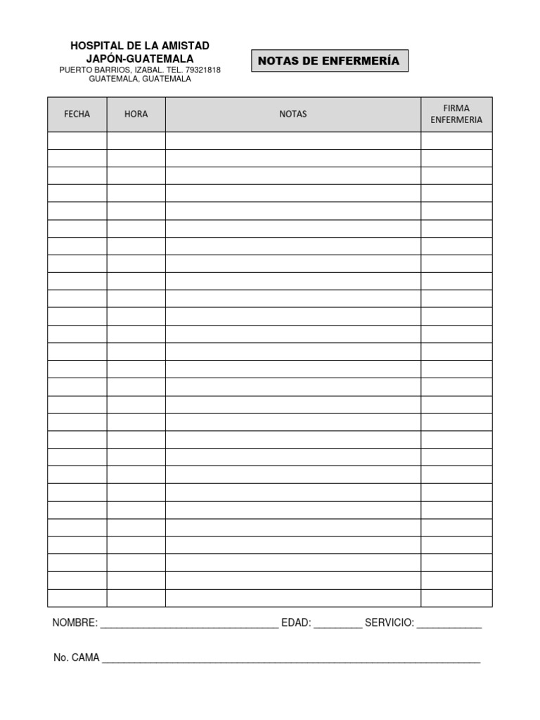 Notas de Enfermeria | PDF