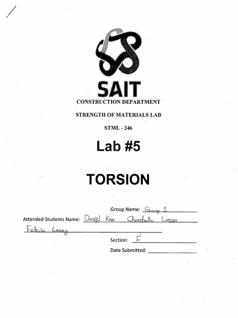 Torsion Lab | PDF