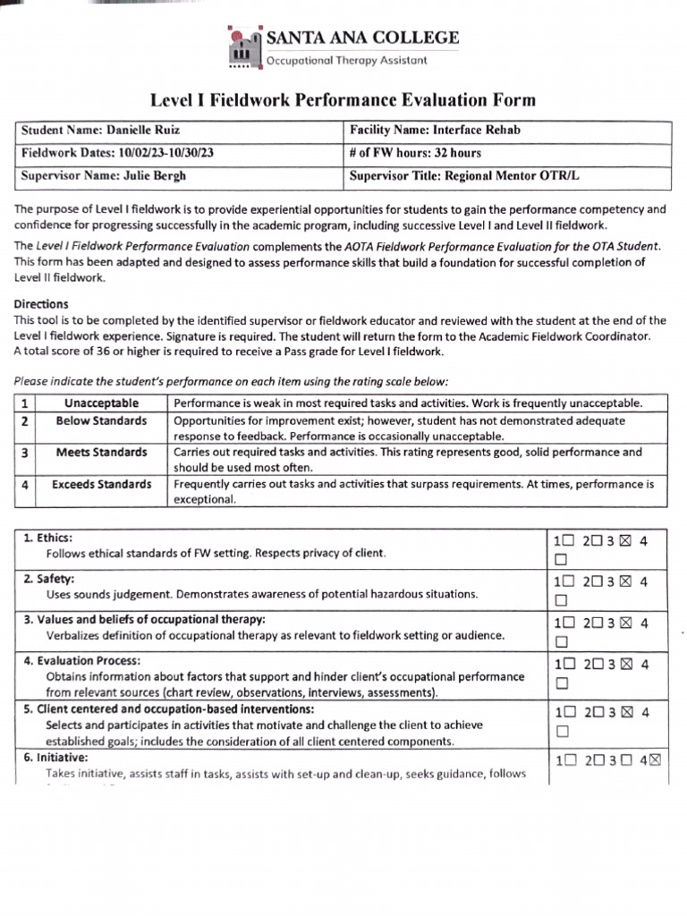 Professional Behavior Development Feedback Form | PDF