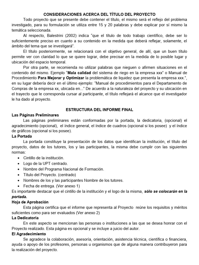 Consideraciones Acerca Del Proyecto | PDF | Metodología de encuesta | Business