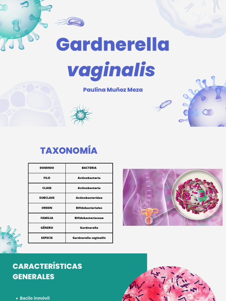 Gardnerella Vaginalis | PDF | Las bacterias | Medicina