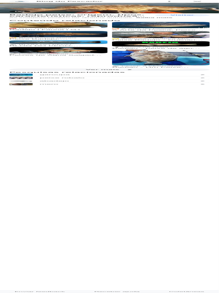 Badejo Peixe - Pesquisa Google | PDF Badejo Peixe - Pesquisa Google | PDF