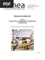 Tablas RULA | PDF | Factores humanos y ergonomía | Science