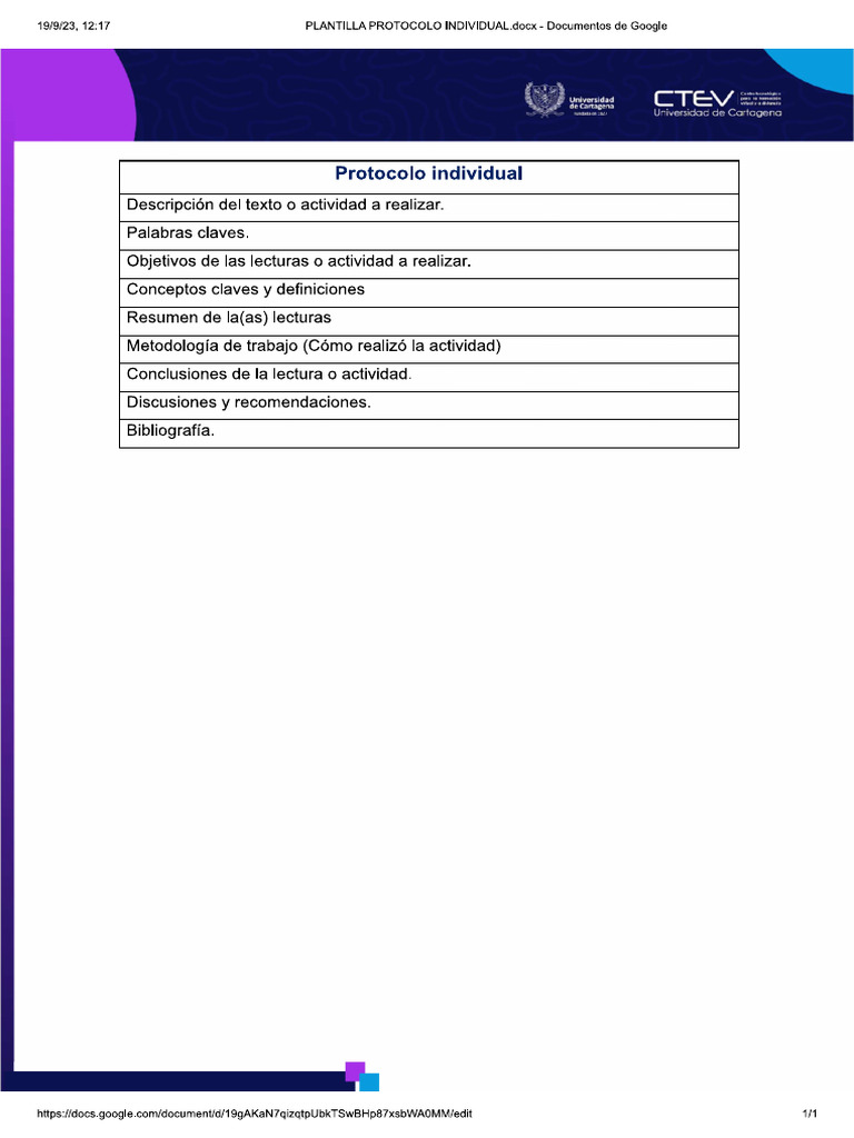 Plantilla Protocolo Individual | PDF