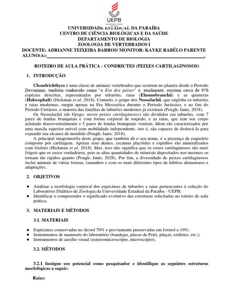 Morfologia dos Condrictes e Respiração | PDF | Tubarões | Peixes