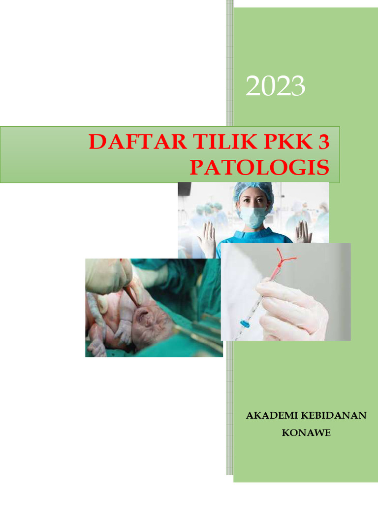 Daftar Tilik Labskill PKK 3-2023 | PDF