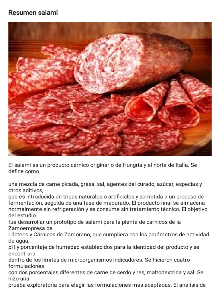 Resumen Salami | PDF