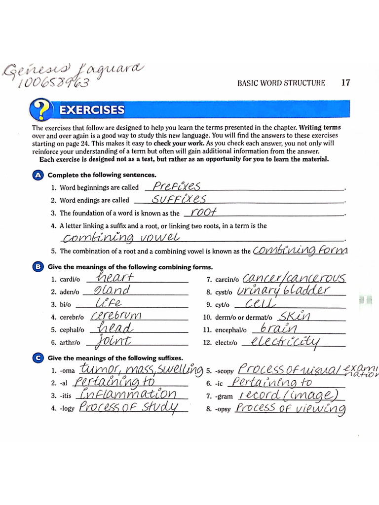 Chapter 1 Exercises | PDF