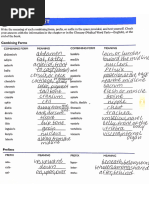 Medical Terminology: Chapter 2 Forms | PDF