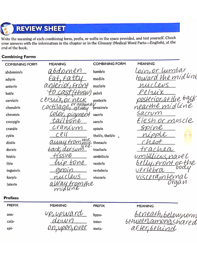 Chapter 2 Review Sheet | PDF