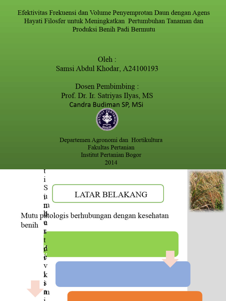 Great Presentasi Samsi | PDF