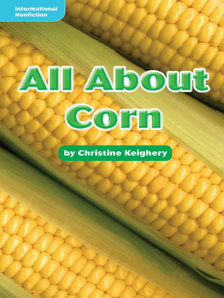 All About Corn | PDF