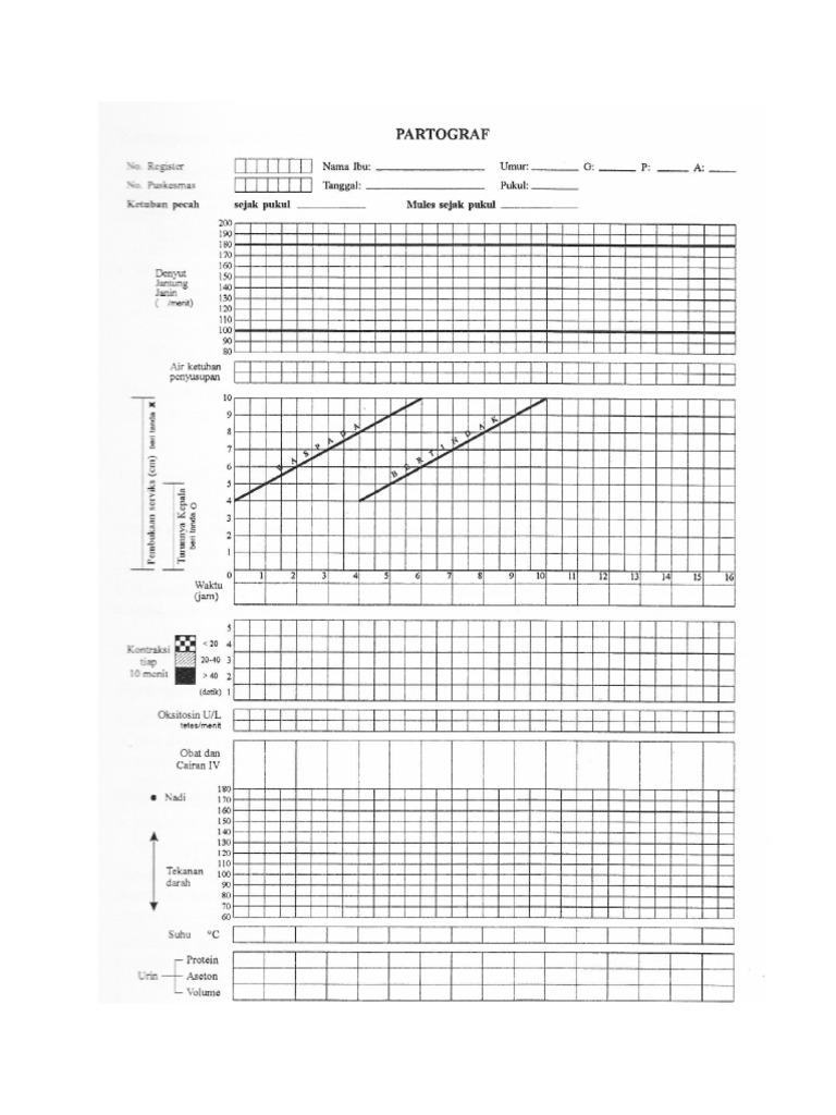 4.2.1.4 Contoh Partograf | PDF