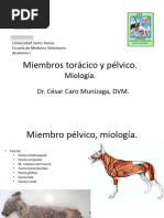 Reflejo de Flehmen en Animales | PDF | Biología