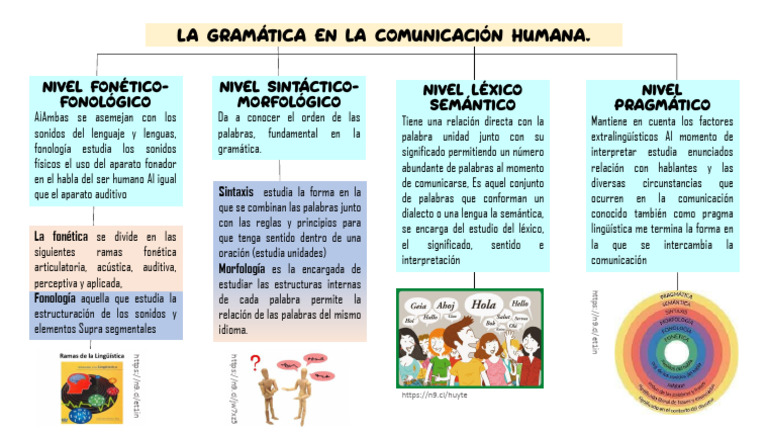 Organizador Grafico Ariana Comunicacion | PDF | Palabra | Fonología