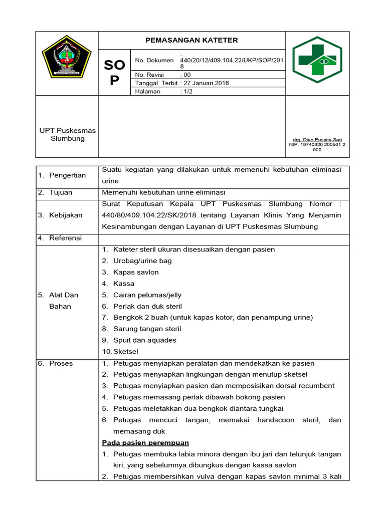 Panduan Pemasangan Kateter | PDF
