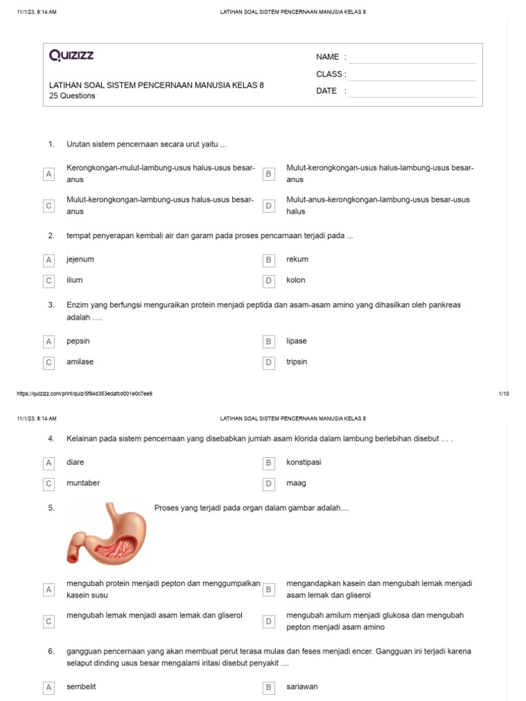 Latihan Soal Sistem Pencernaan Manusia Kelas 8 | PDF