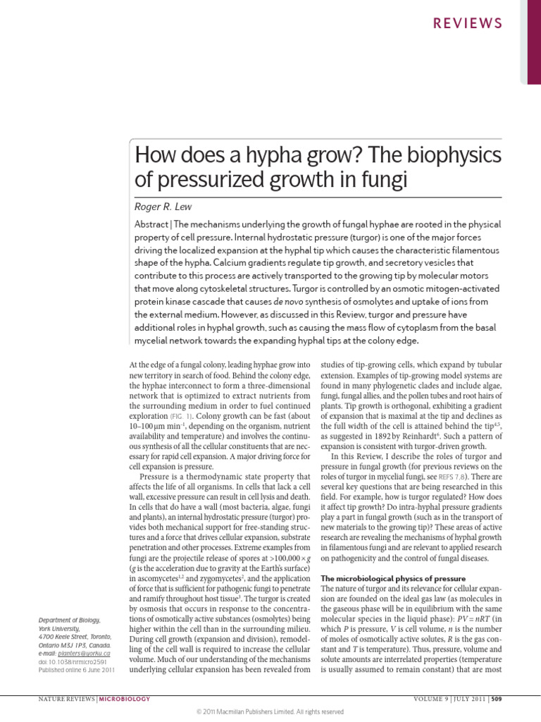 2011 - How Does A Hypha Grow - The Biophysics of Pressurized Growth in ...