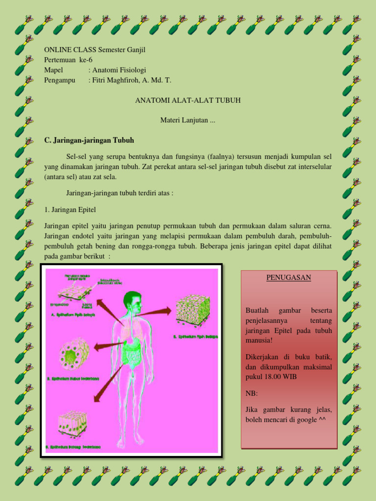Anatomi Fisiologi Tubuh Manusia | PDF