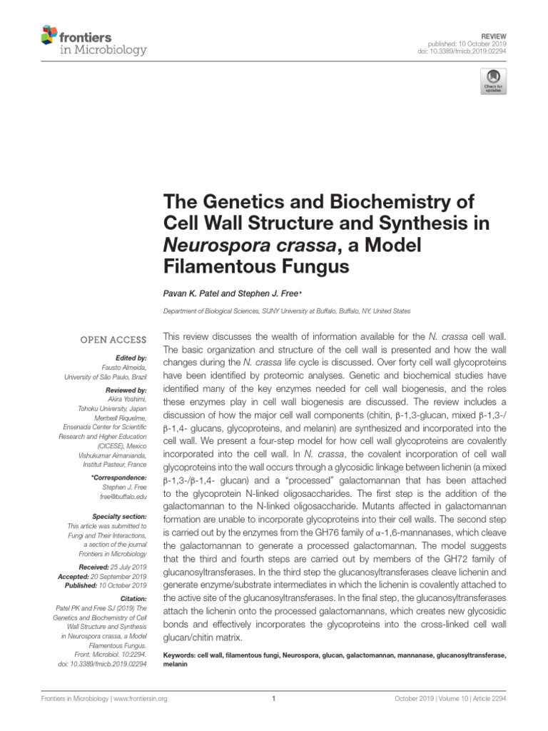 2019 - The Genetics and Biochemistry of Cell Wall Structure and ...