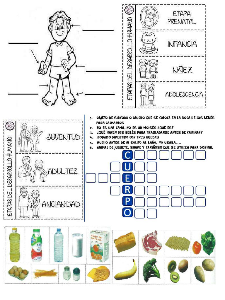 Actividades El Cuerpo 1ra Parte | PDF