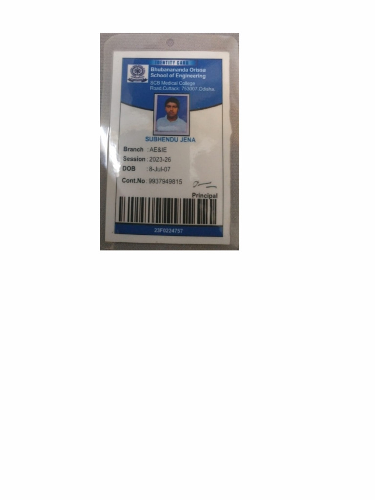 Id Card | PDF