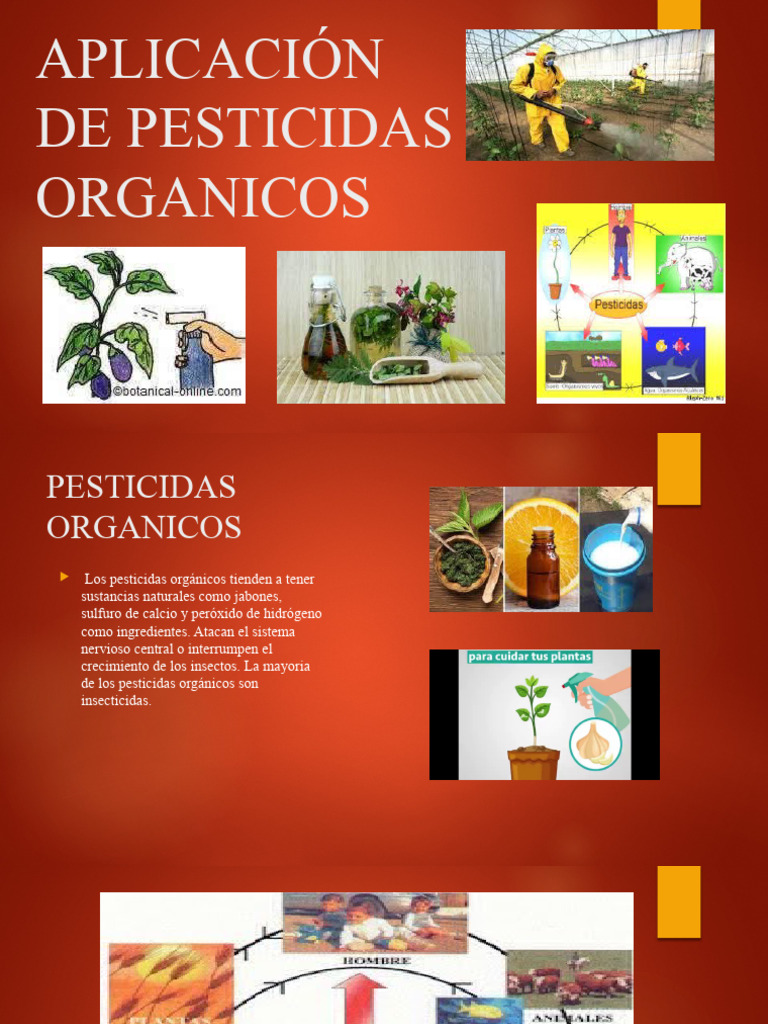 APLICACIÓN DE PESTICIDAS ORGANICOS | PDF | Pesticida | Insecticida