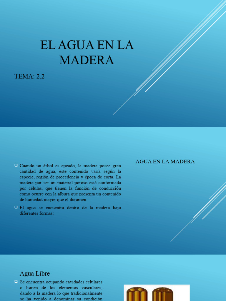 2.2 El Agua en La Madera | PDF | Madera | Agua