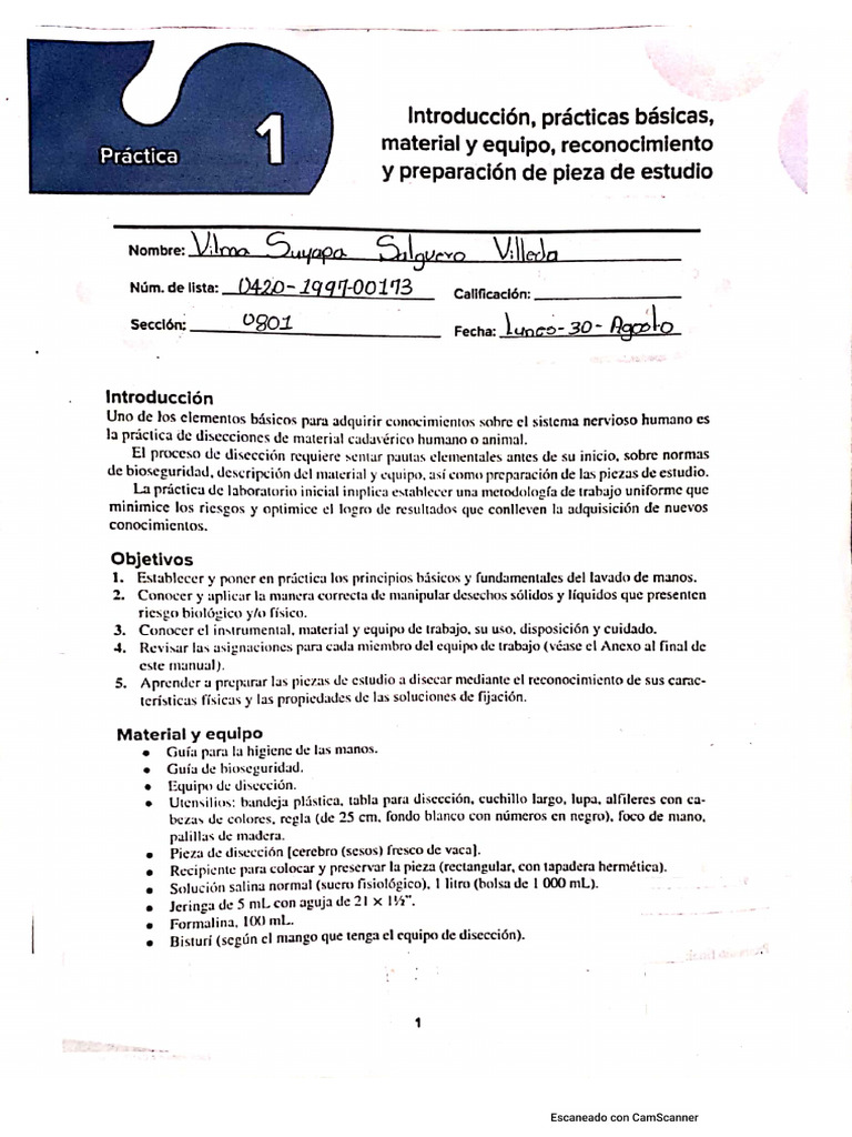 Manual de Lab. de Neuroanatomía 2 | PDF