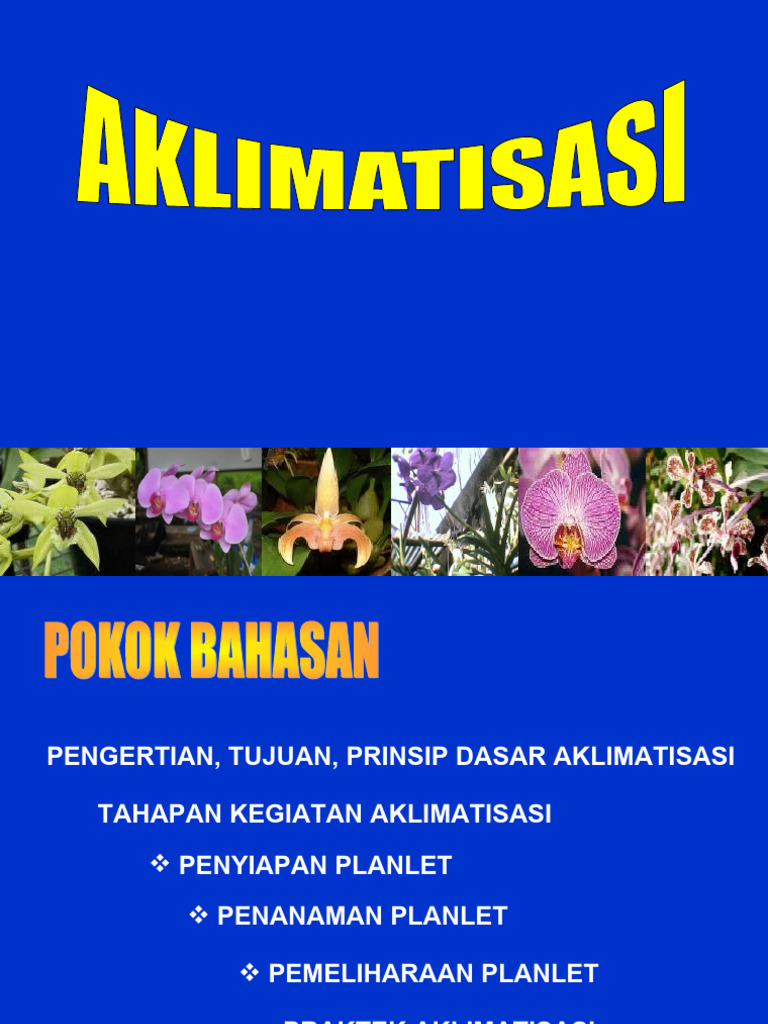 Panduan Aklimatisasi Planlet Anggrek | PDF