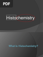 Previ Color Gram - User Manual | PDF | Staining | Chemistry