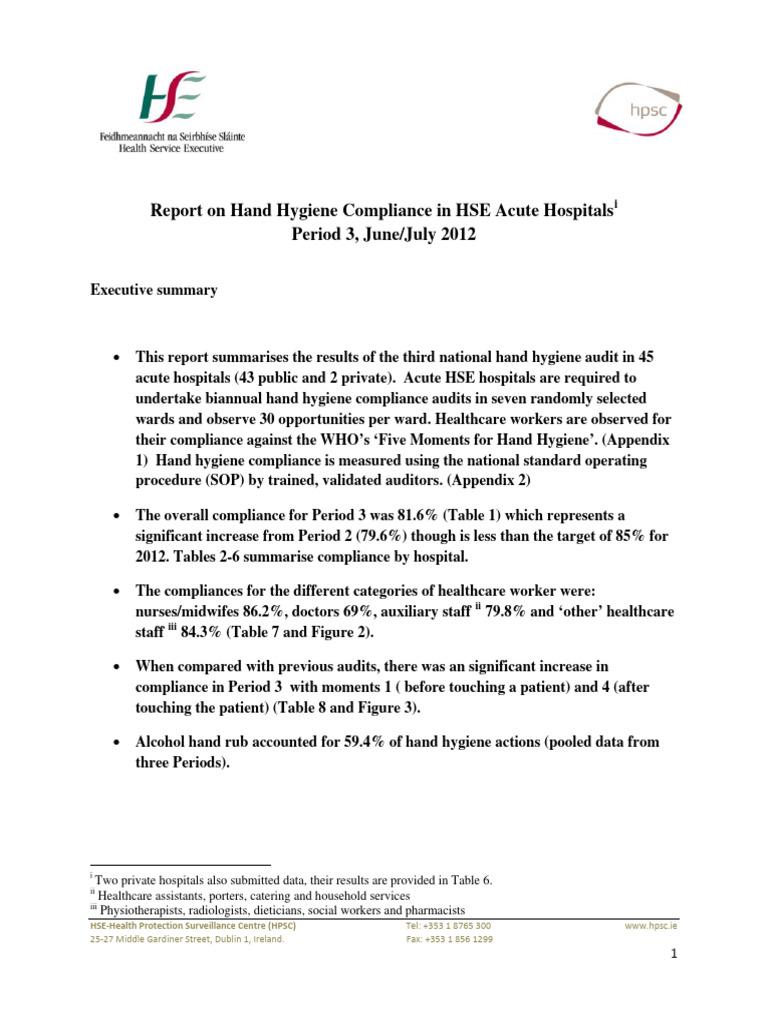 HH Report Who | PDF | Hand Washing | Audit