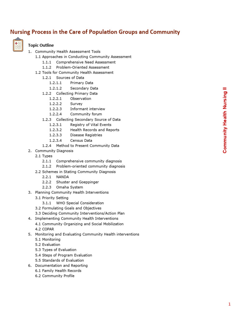 Nursing Process in The Care of Population Groups and Community | PDF ...