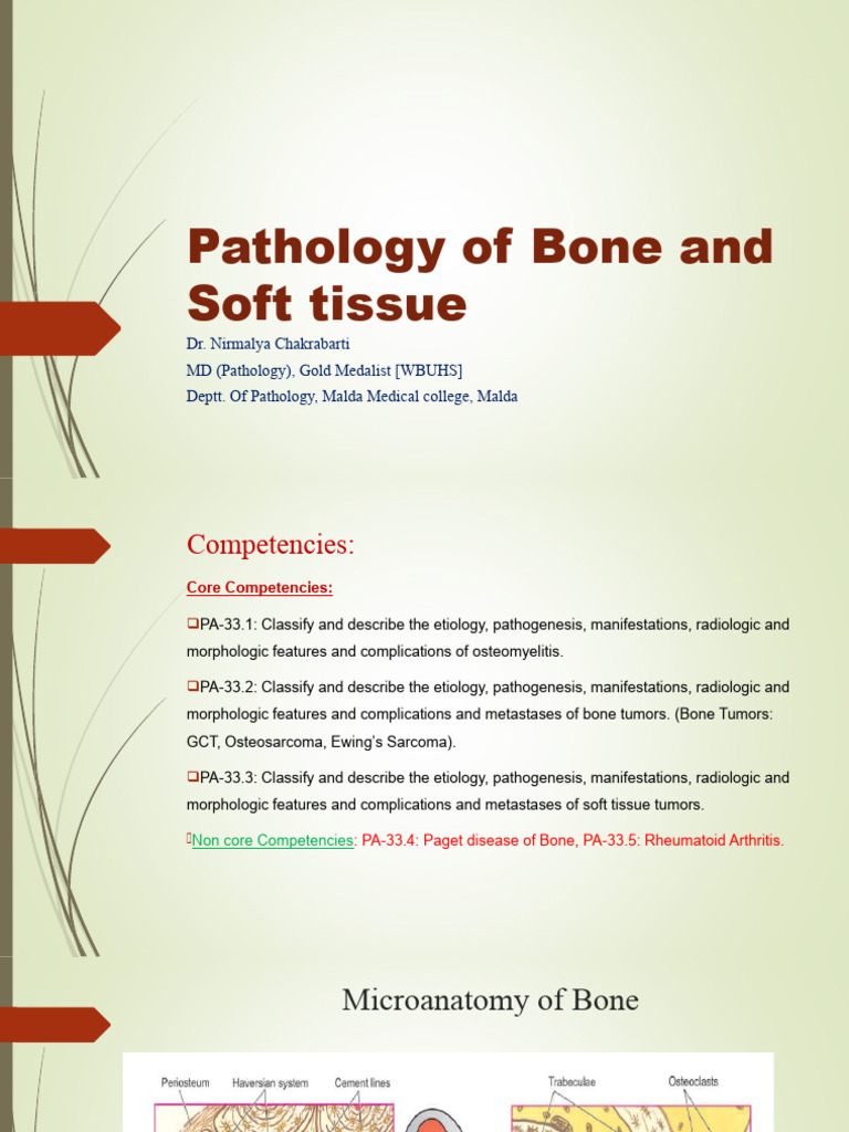Pathology Of Bone And Soft Tissue Lecture Pdf Bone Osteoblast
