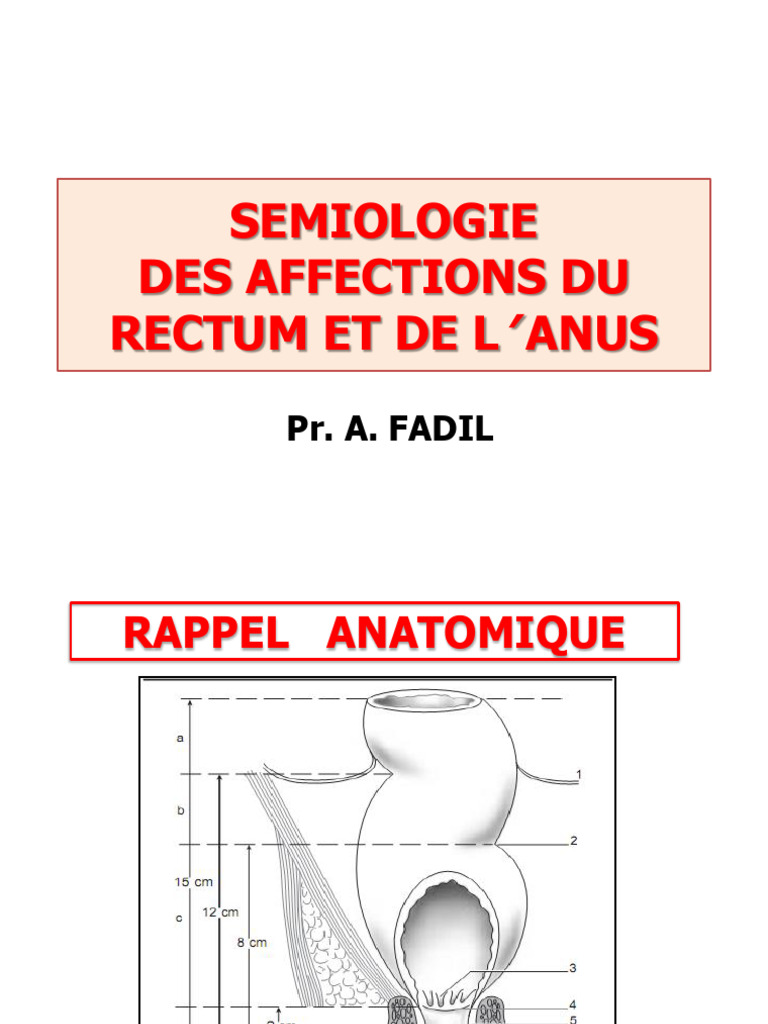 Sémiologie des affections ano-rectales | PDF | Pathologie hémorroïdaire ...