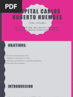 Colporrafia Anterior y Posterior Tecnica Quirurgica PDF | PDF | Cirugía ...