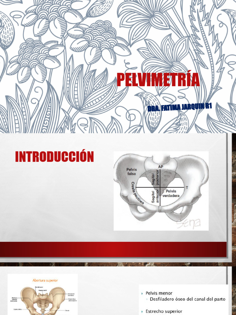 Pelvimetría Terminado | PDF