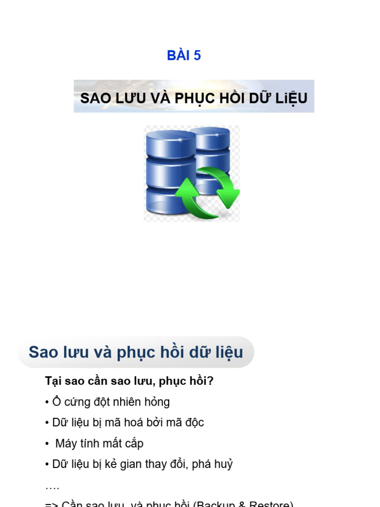 5 - Sao Luu-Phuc Hoi DL | PDF