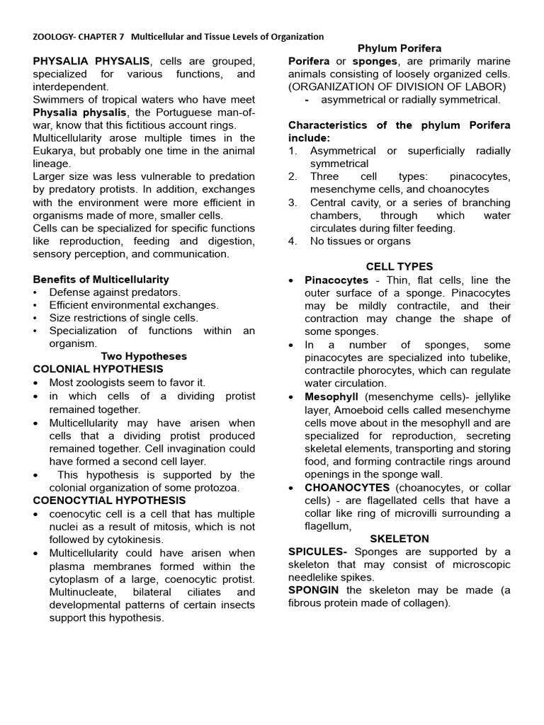 Chapter 9 - Zoology 10th Edition | PDF | Sponge | Sexual Reproduction