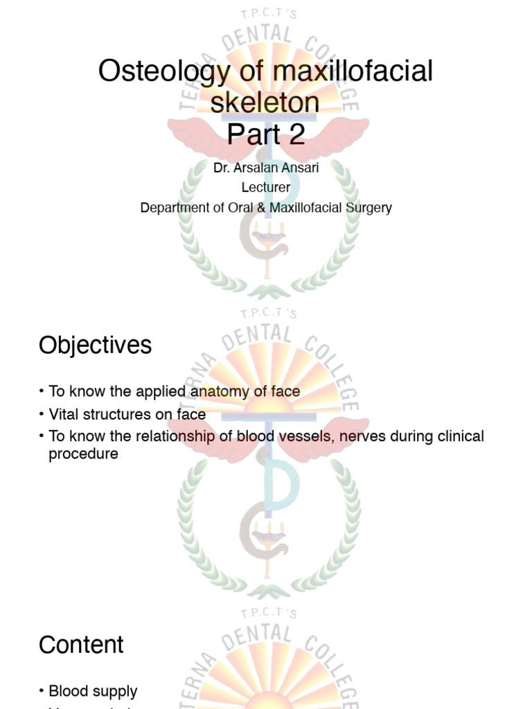 Osteology II | PDF | Skull | Human Nose