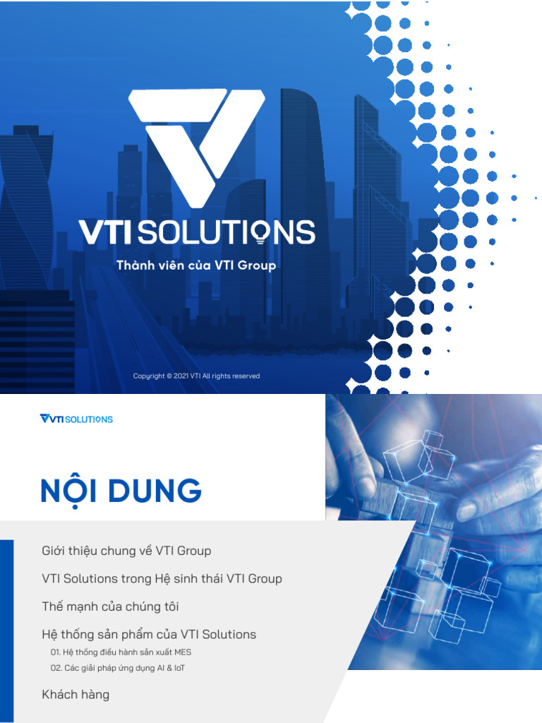 VTI Solutions Profile | PDF