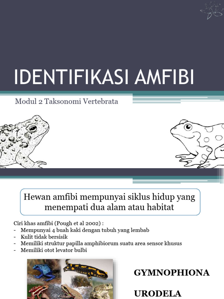 Ciri dan Identifikasi Hewan Amfibi | PDF