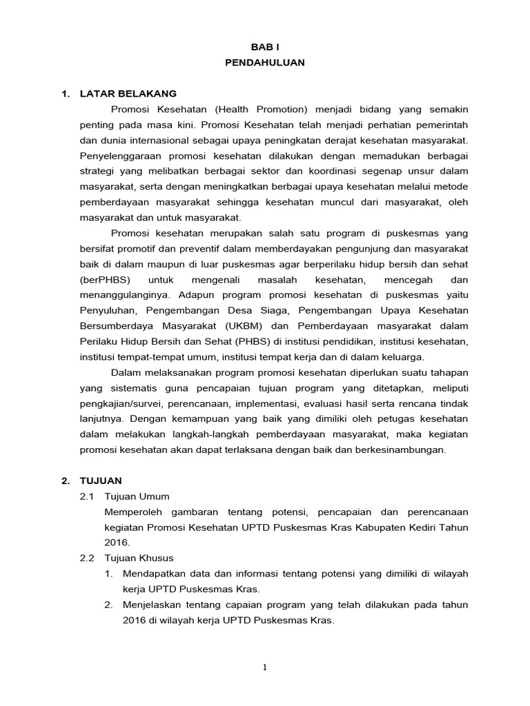 3 Poa Program Promkes Pdf Kesehatan Holistik