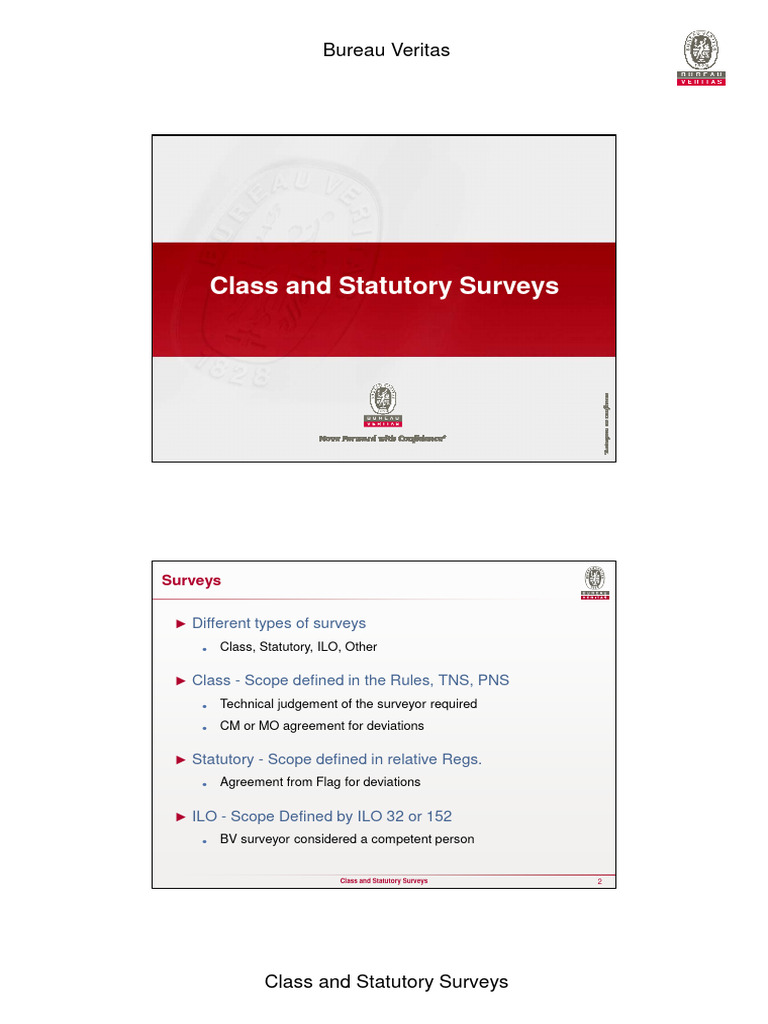 Bureau Veritas Class & Statutory Surveys | PDF | Finance & Money Management