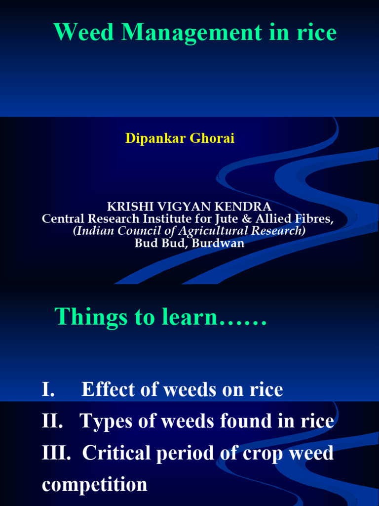 Weed Management in Rice | PDF | Herbicide | Weed