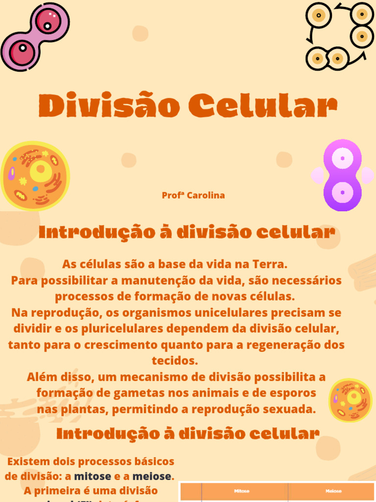 Divisão Celular Mitose Pdf Mitose Célula Biologia
