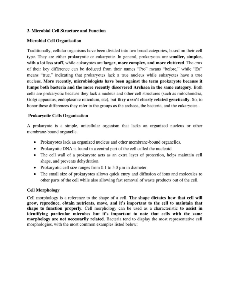 Microbial Structure and Function | PDF
