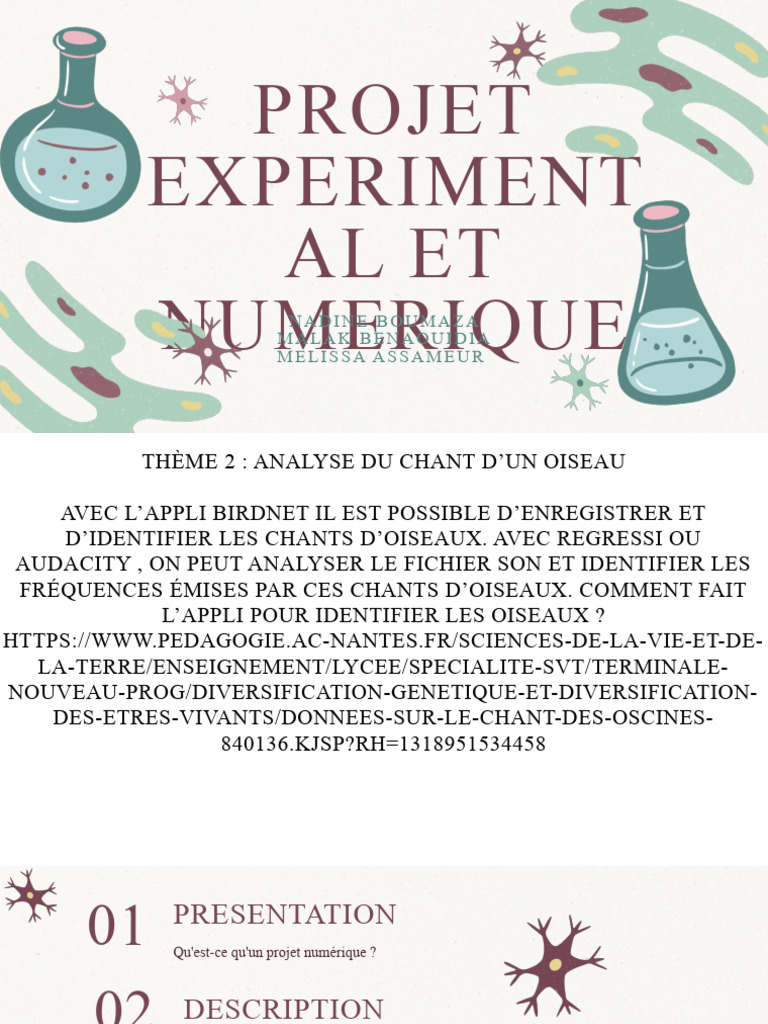Projet Experimental Et Numerique | PDF | Fréquence